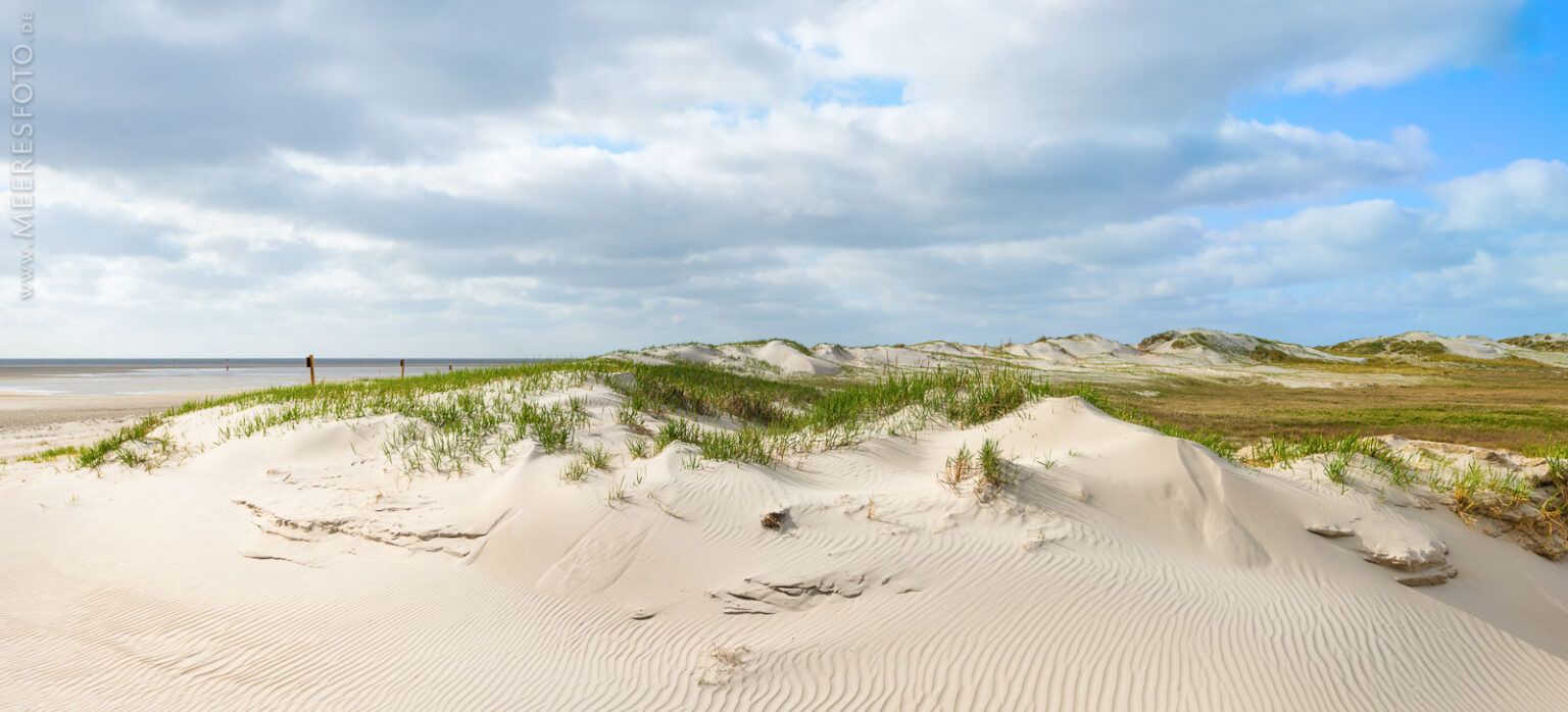Dünen und Strand in St. Peter – Sankt Peter-Ording Bilder von Mario ...
